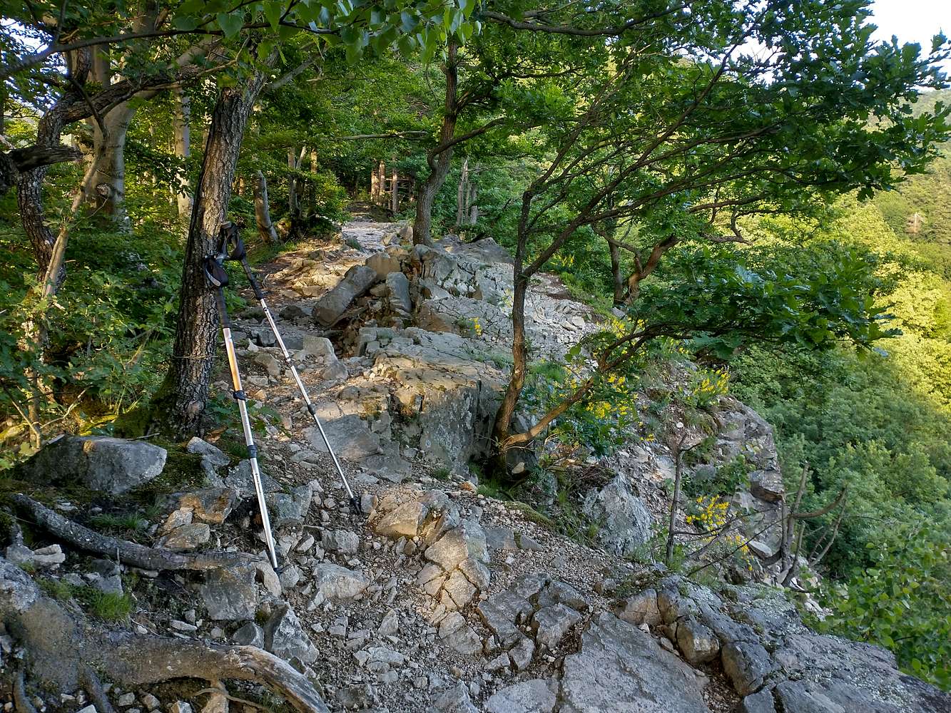 The ridge E of Starý hrad : Photos, Diagrams & Topos : SummitPost