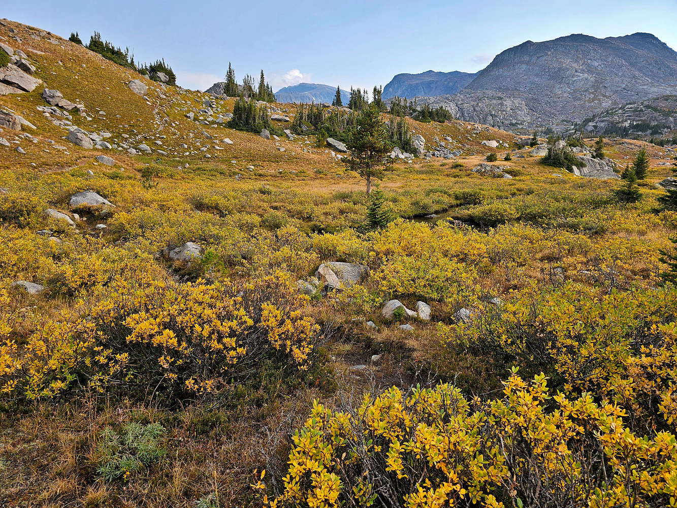 Cloud Peak, slopes of Bomber Mountain and Point 11604 ft : Photos ...