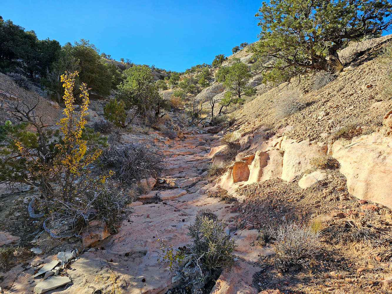 Descending down the drainage : Photos, Diagrams & Topos : SummitPost