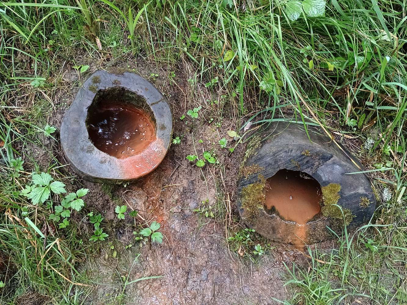 Henryk Świdziński´s Mofetta : Photos, Diagrams & Topos : SummitPost