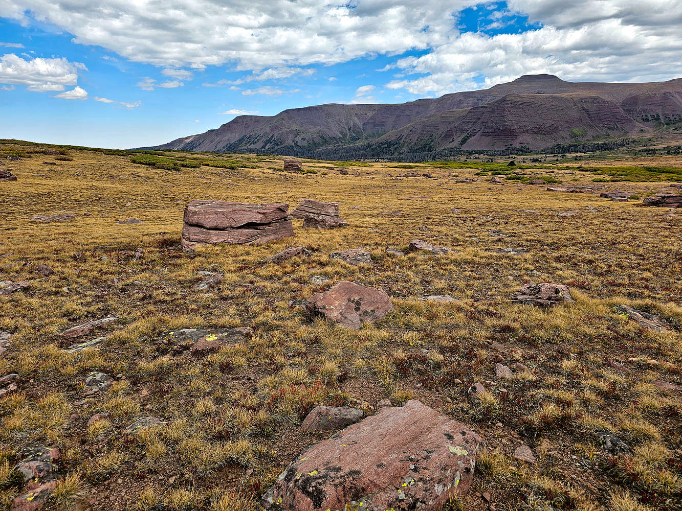 Mount Gilbert : Photos, Diagrams & Topos : SummitPost