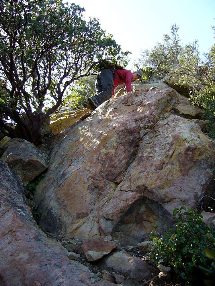 Class 3 scramble on Cathedral Peak : Photos, Diagrams & Topos : SummitPost