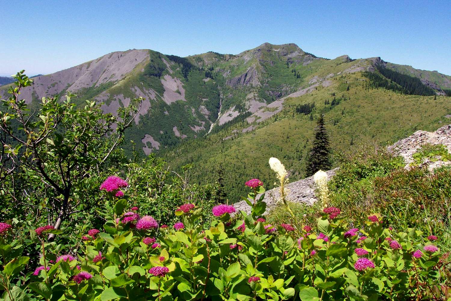 Silver Star Mountain's east side 2 : Photos, Diagrams & Topos : SummitPost