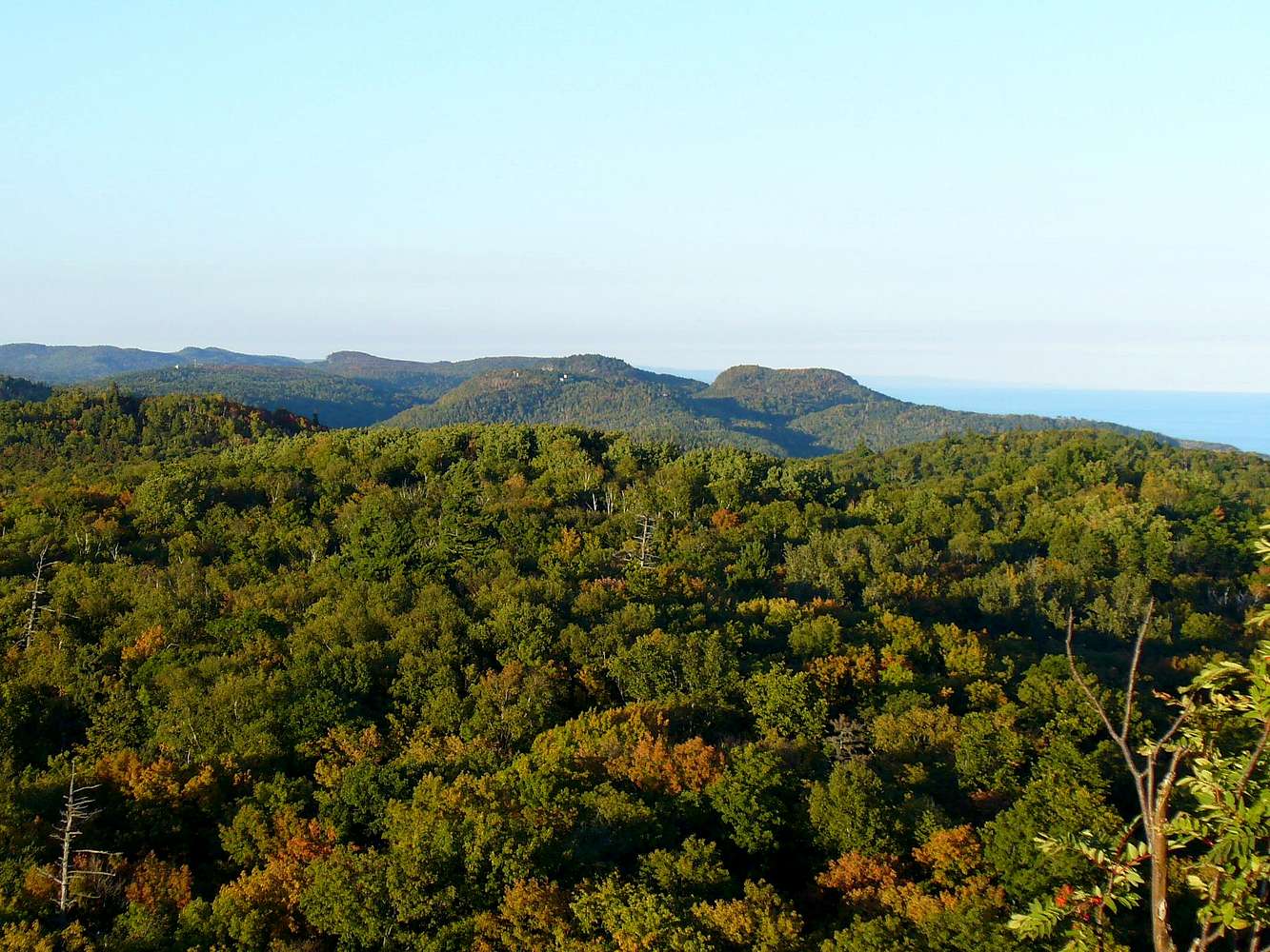 Minnesota Forests : Photos, Diagrams & Topos : SummitPost