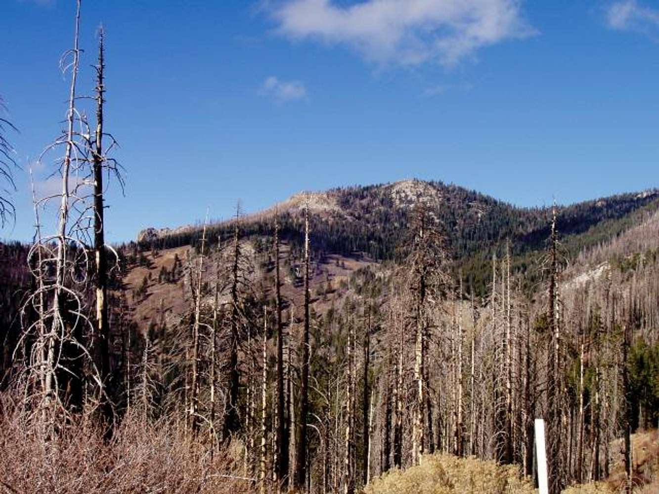 Sherman Peak : Photos, Diagrams & Topos : SummitPost