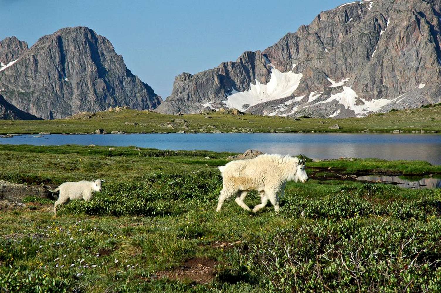 Dora Lake : Photos, Diagrams & Topos : SummitPost