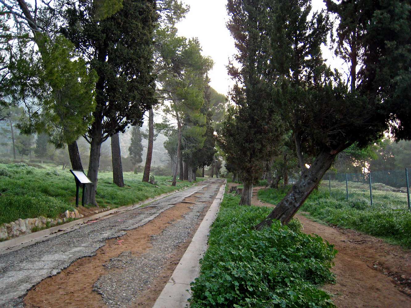 Cobb Estate : Photos, Diagrams & Topos : SummitPost