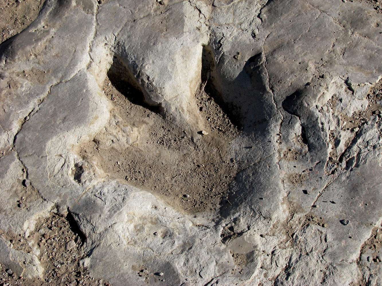 Allosaurus footprint : Photos, Diagrams & Topos : SummitPost