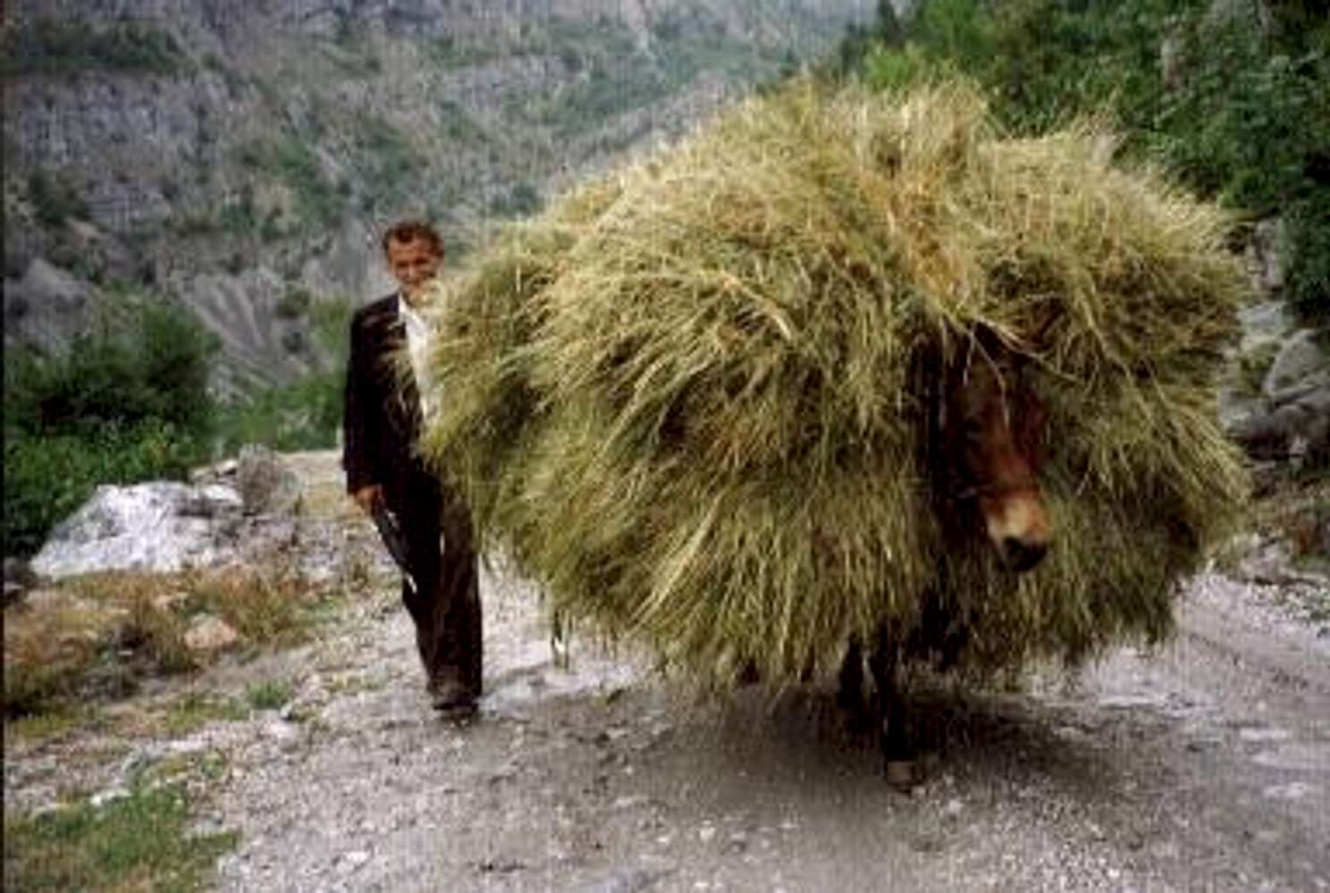 On the way to Vermoshi : Photos, Diagrams & Topos : SummitPost