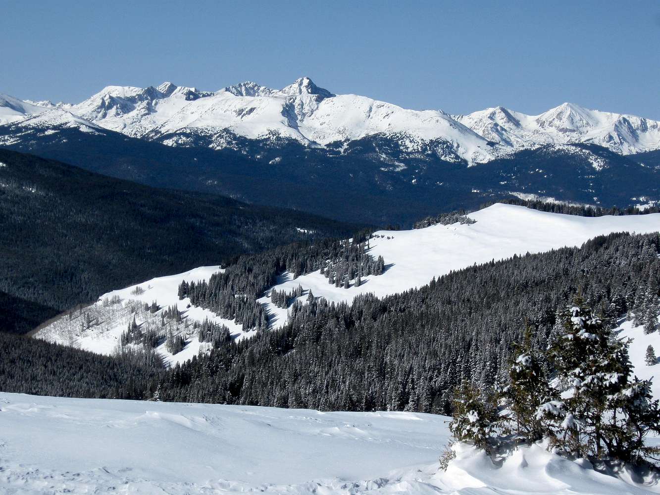 Mount of the Holy Cross : Photos, Diagrams & Topos : SummitPost