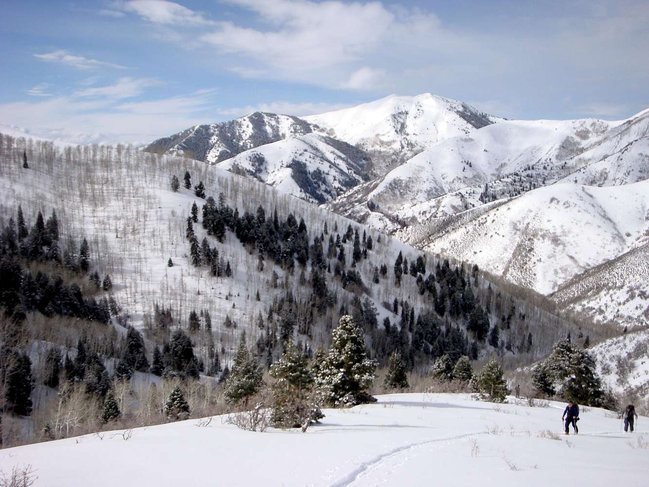 Sharp Mountain : Photos, Diagrams & Topos : SummitPost