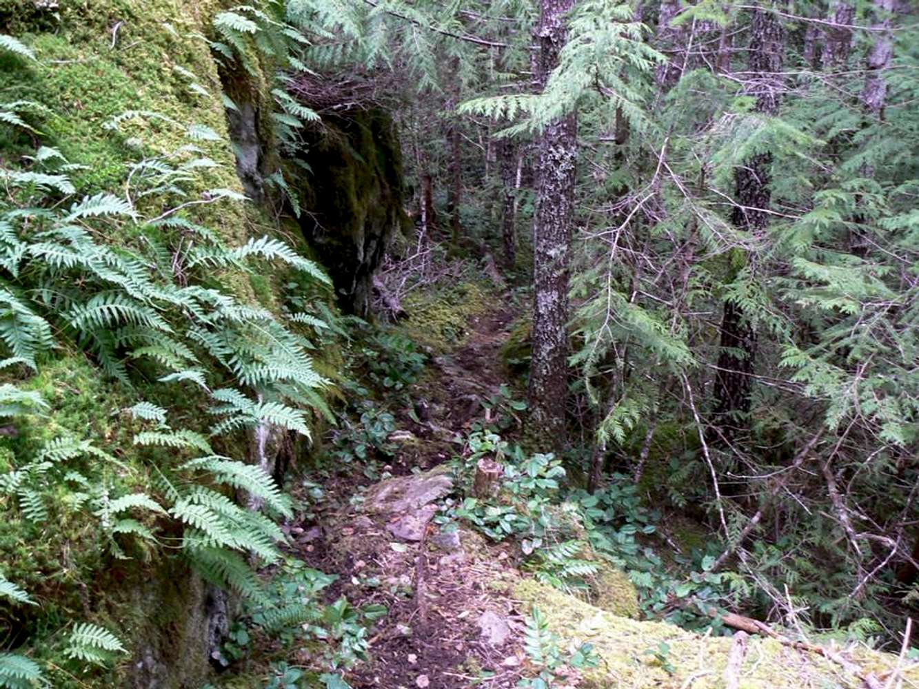Empress Mountain Ridges Route - The Harrison Trail : Photos, Diagrams ...