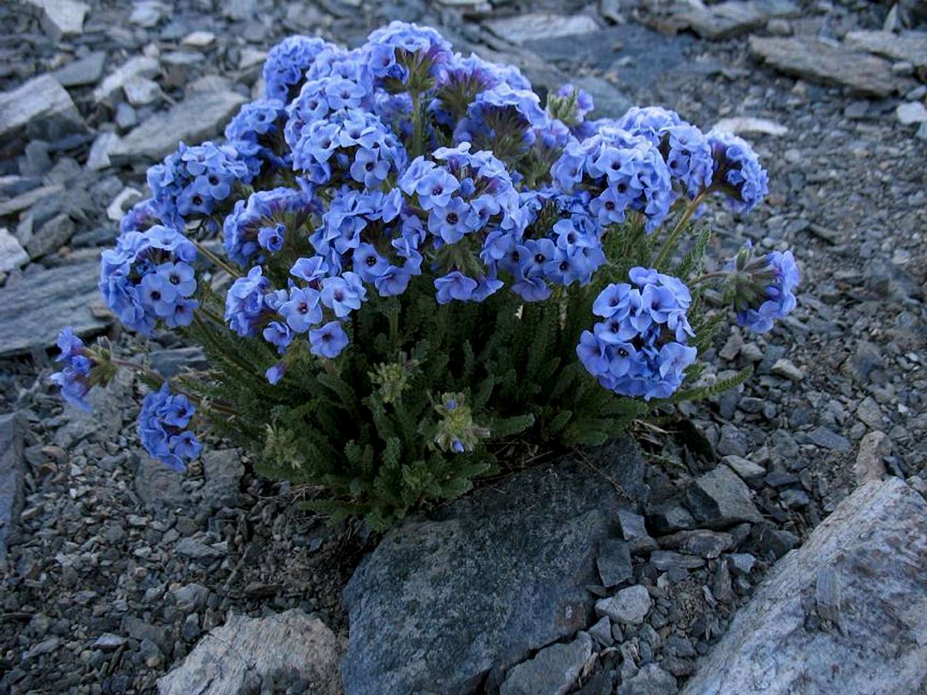 Sky Pilot in The Ionian Basin : Photos, Diagrams & Topos : SummitPost