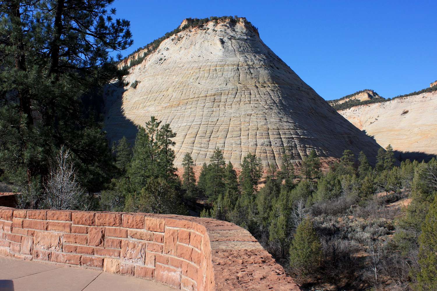Checkerboard Mesa, Zion National Park, Utah : Photos, Diagrams & Topos ...