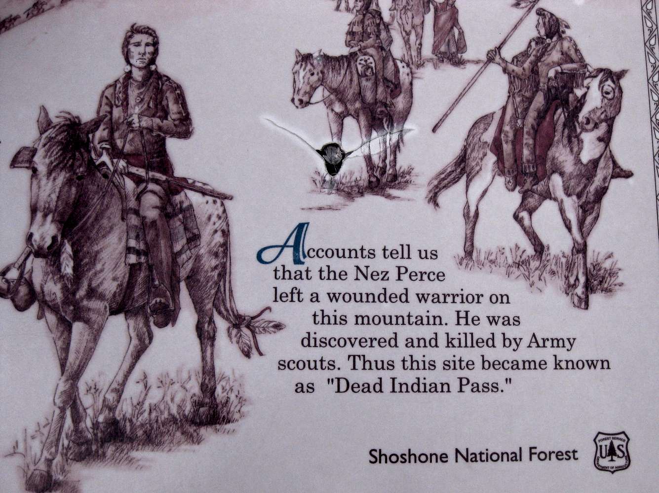 Nez Perce War : Photos, Diagrams & Topos : SummitPost