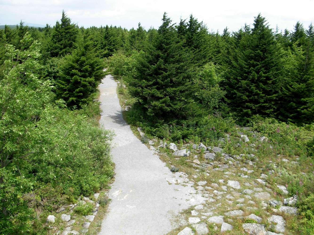 Spruce Knob : Photos, Diagrams & Topos : SummitPost