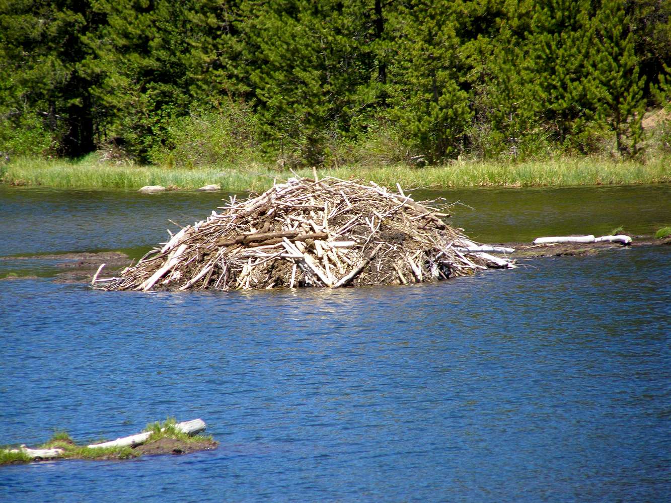 Beaver Lodge : Photos, Diagrams & Topos : SummitPost