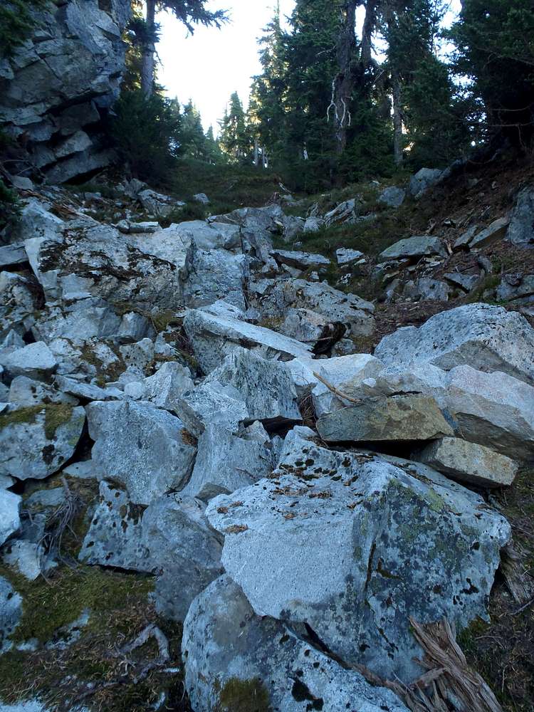 Bald Eagle Peak - Narrow Gully : Photos, Diagrams & Topos : SummitPost
