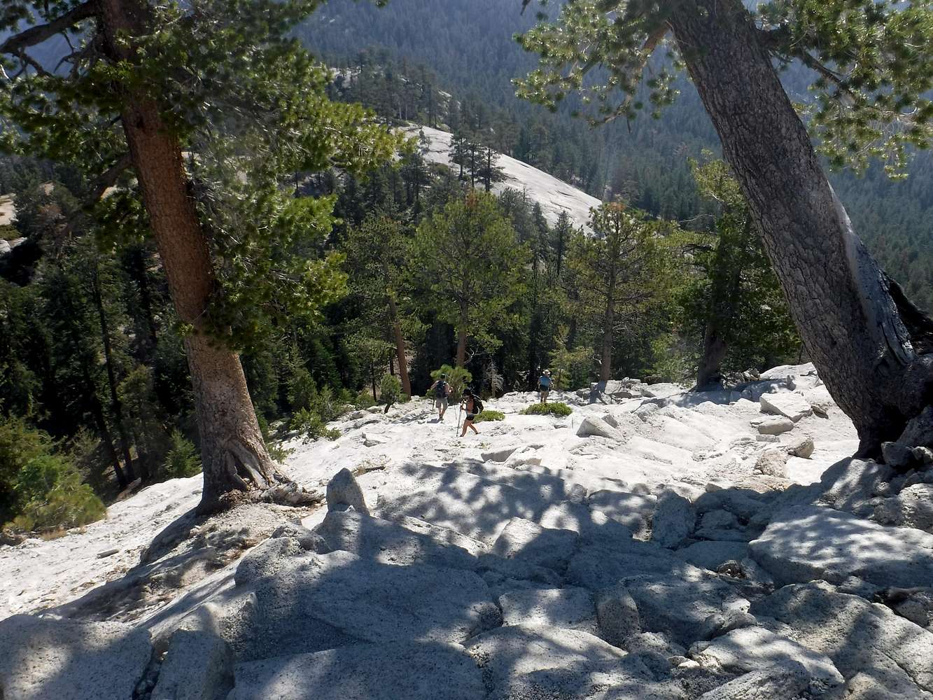 Sub Dome Switchbacks : Photos, Diagrams & Topos : SummitPost