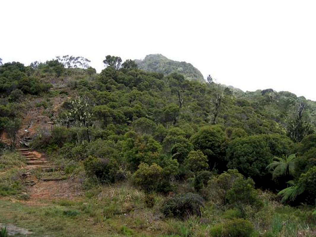 Looking back at Pico Cuba... : Photos, Diagrams & Topos : SummitPost