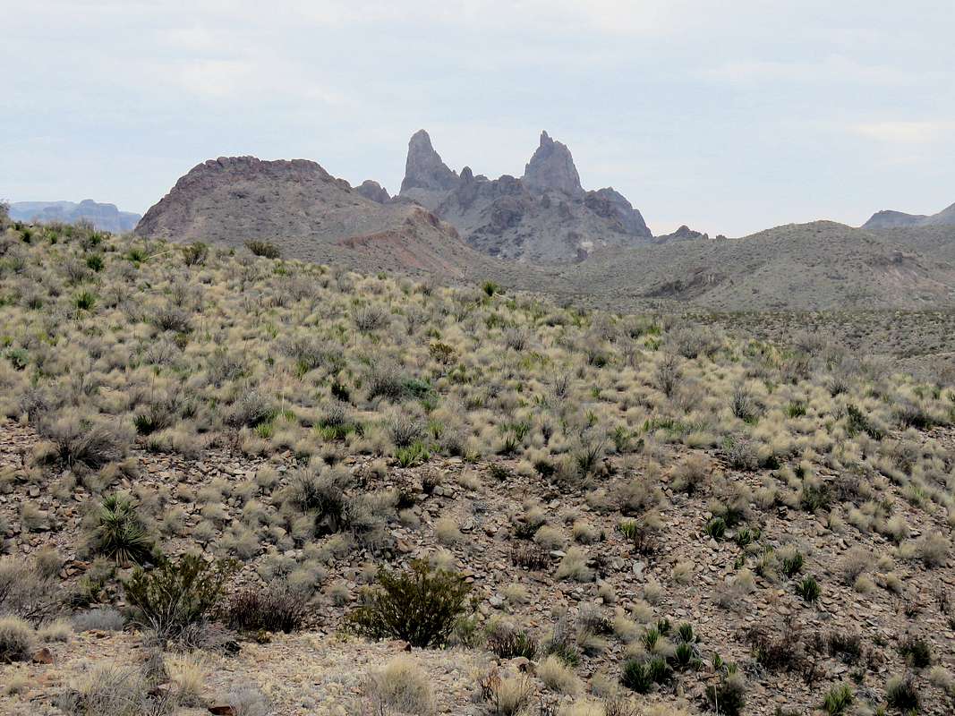From Trailhead, Mule Ear Peaks : Photos, Diagrams & Topos : SummitPost