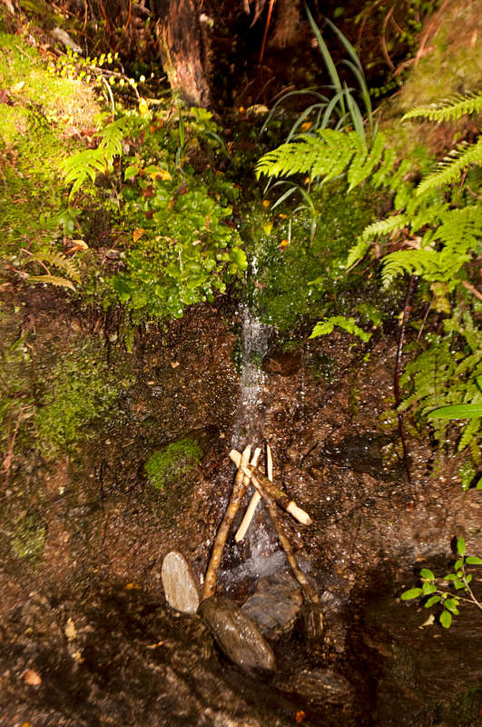 Hike to Alex Knob 05 (Wombat Lake trail) : Photos, Diagrams & Topos ...