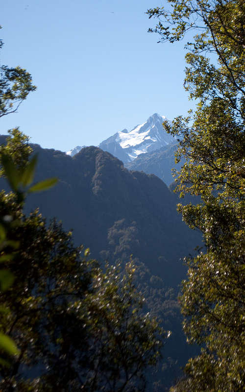 Hike to Alex Knob 06 (Wombat Lake trail) : Photos, Diagrams & Topos ...