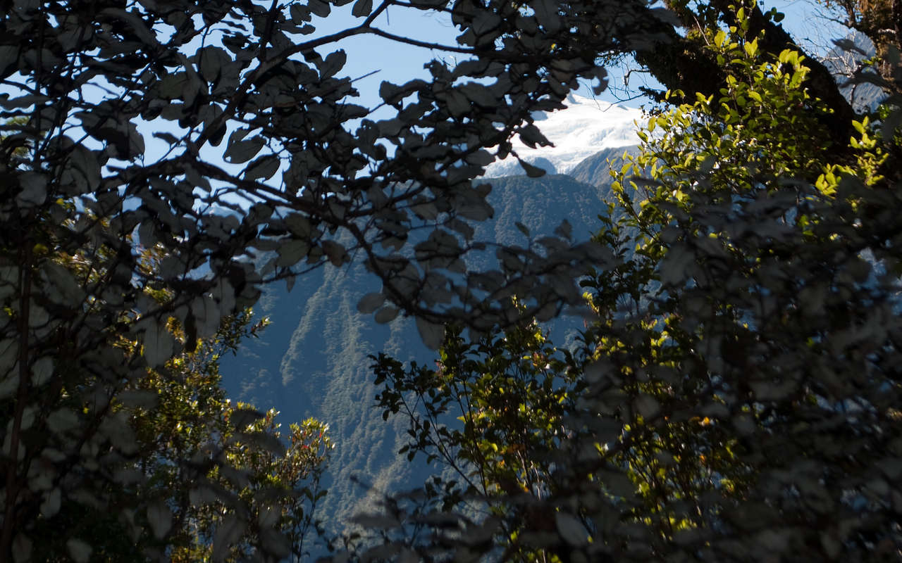 Hike to Alex Knob 15 (view through bush) : Photos, Diagrams & Topos ...