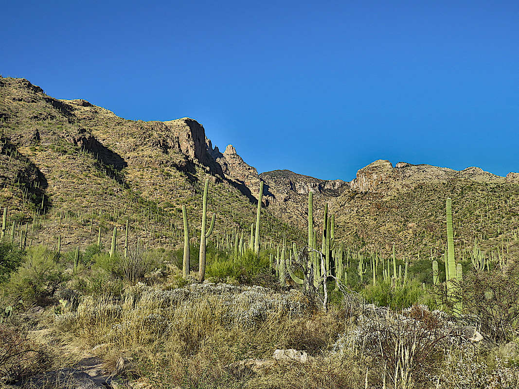Mt. Kimball & Finger Rock : Photos, Diagrams & Topos : SummitPost