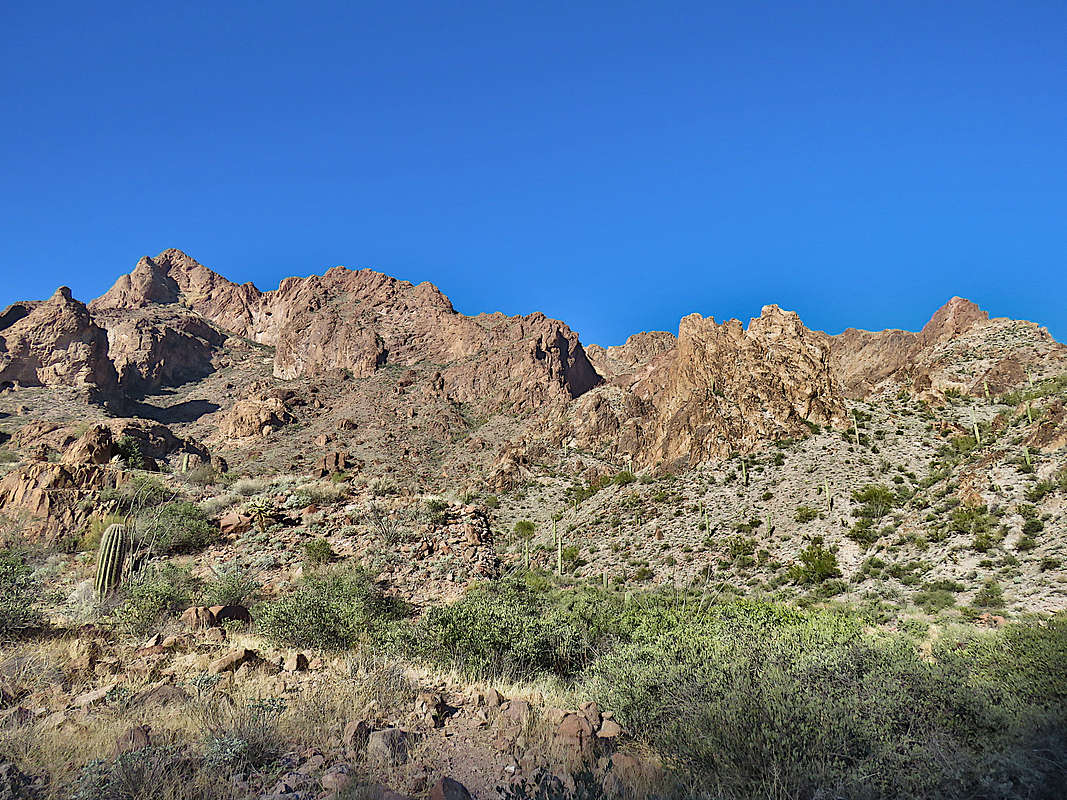 On Signal Peak Trail : Photos, Diagrams & Topos : SummitPost