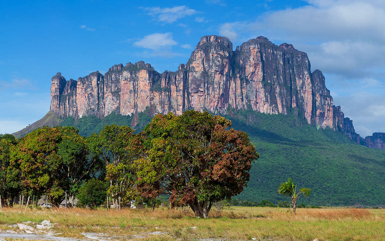 Akopan tepui : Photos, Diagrams & Topos : SummitPost