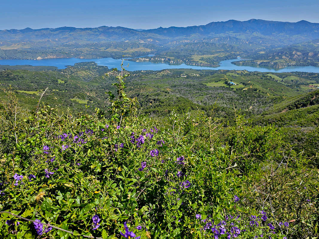 Lake Cachuma and San Rafael Mountain : Photos, Diagrams & Topos ...