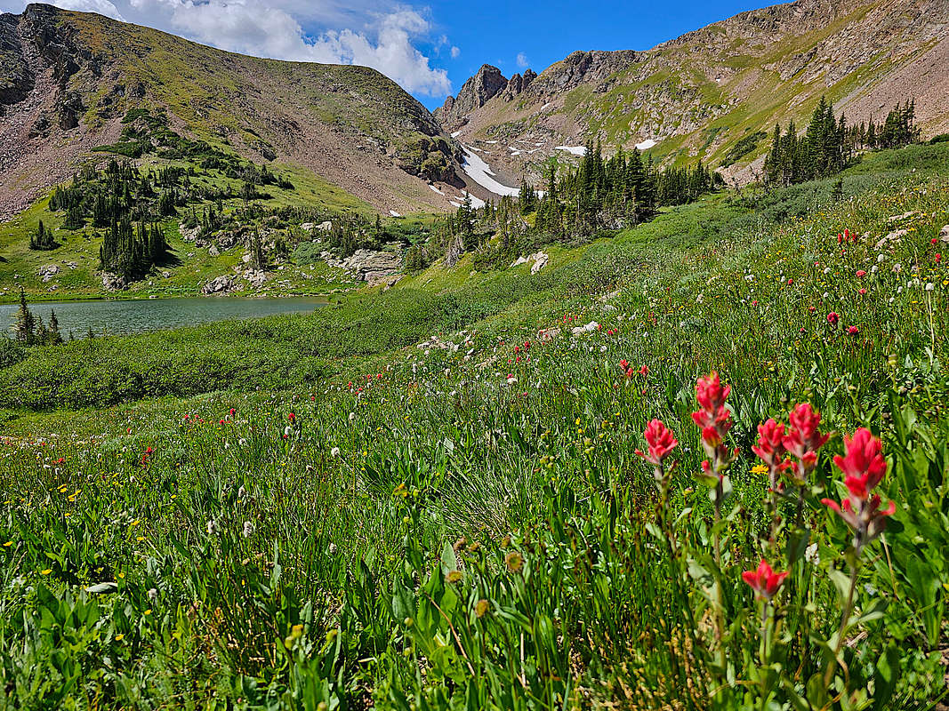 Rogers Pass Lake : Photos, Diagrams & Topos : SummitPost
