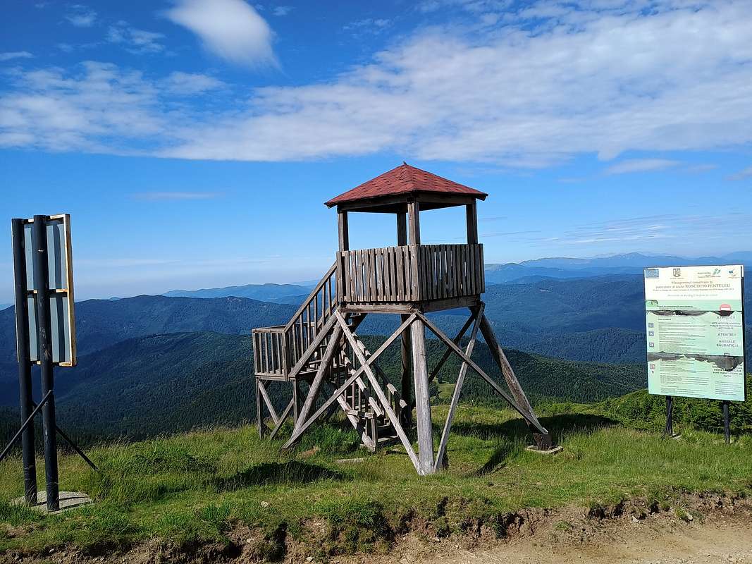 Wildlife observation tower : Photos, Diagrams & Topos : SummitPost