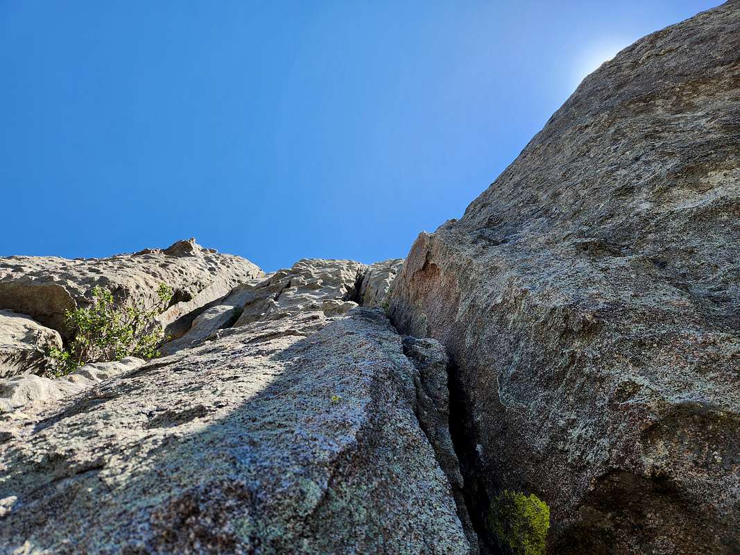 Mountain Mahogany-Crack House-Castle Rocks SP-2025 : Photos, Diagrams ...