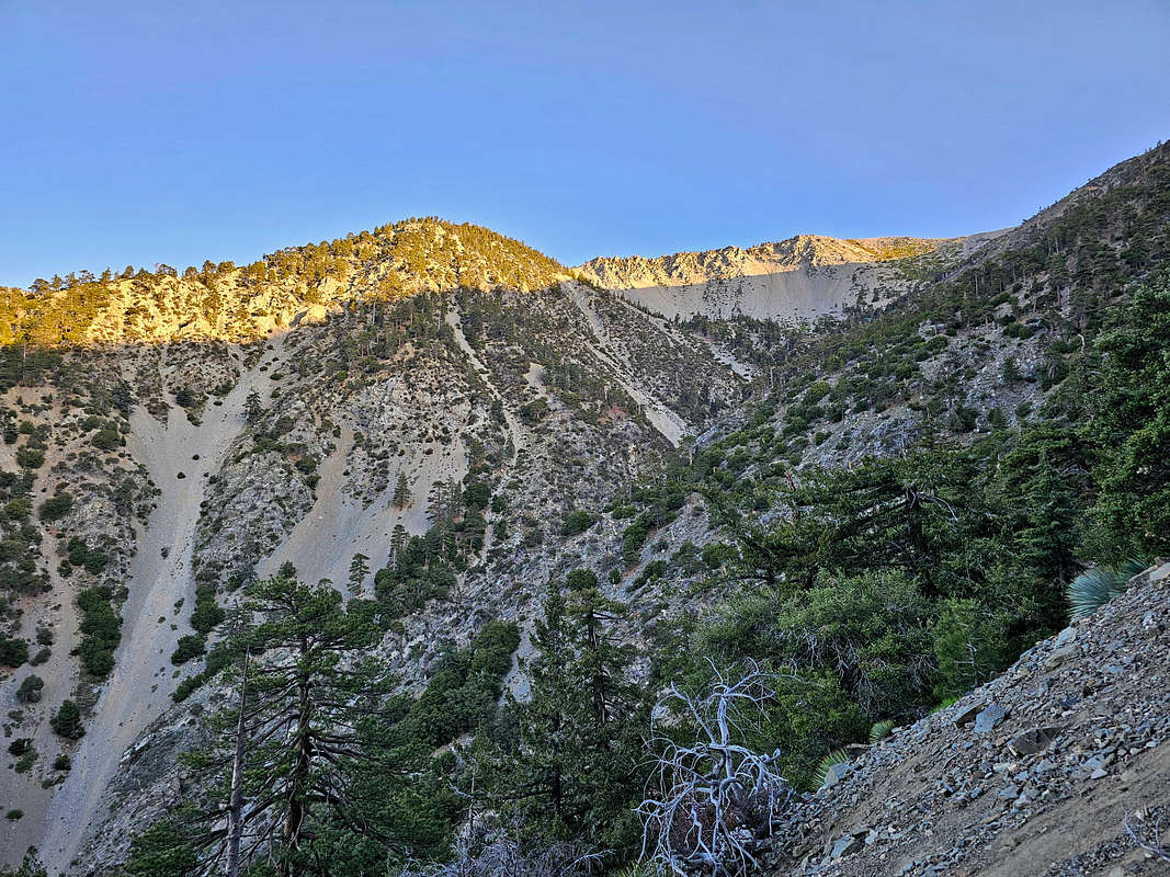 Summit of Mt. Baldy : Photos, Diagrams & Topos : SummitPost