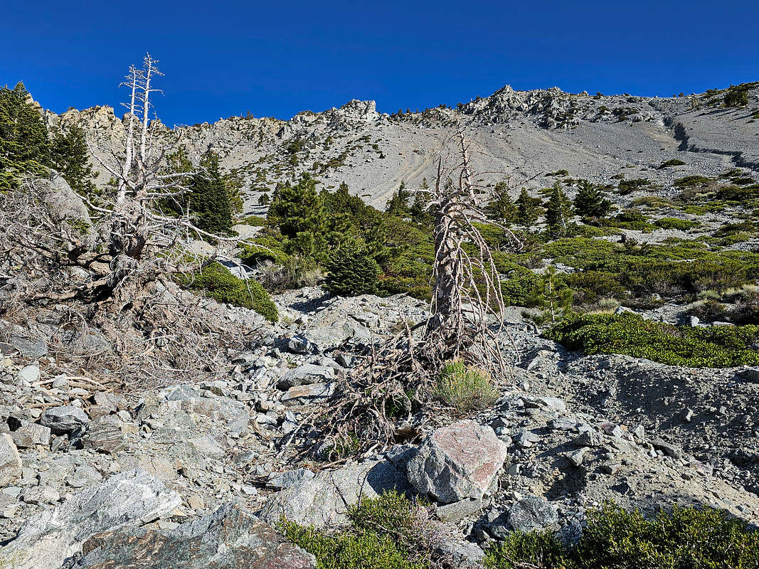 Trail traversing the slope : Photos, Diagrams & Topos : SummitPost