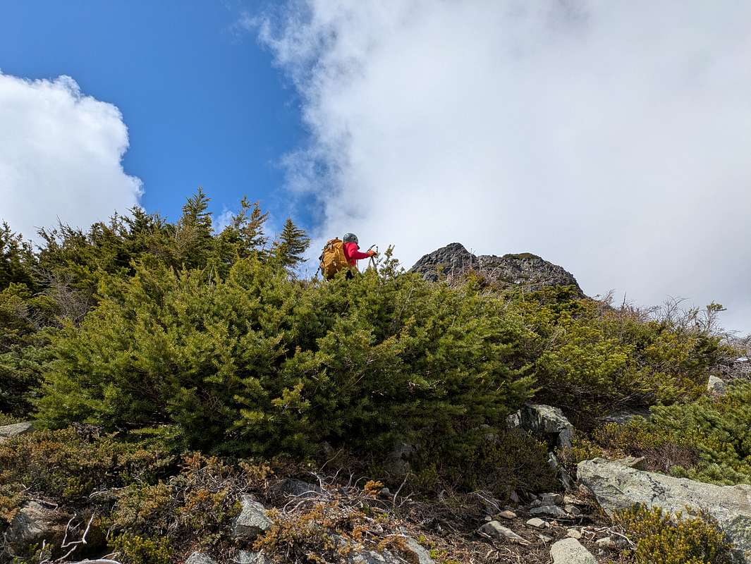 Approaching the summit block of Nachaktsen Peak : Photos, Diagrams ...