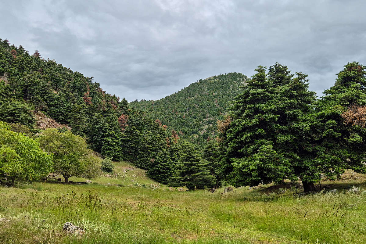 Frourio (1,490m) of Farmakas (1,615m) as seen from the trailhead ...
