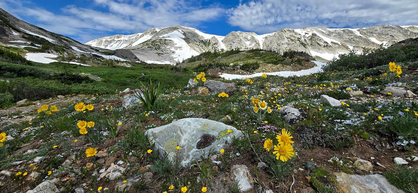Medicine Bow wilderness. : Photos, Diagrams & Topos : SummitPost