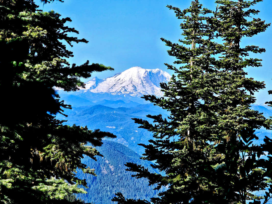 Mount Rainier, below the summit of Thorp Mountain : Photos, Diagrams ...