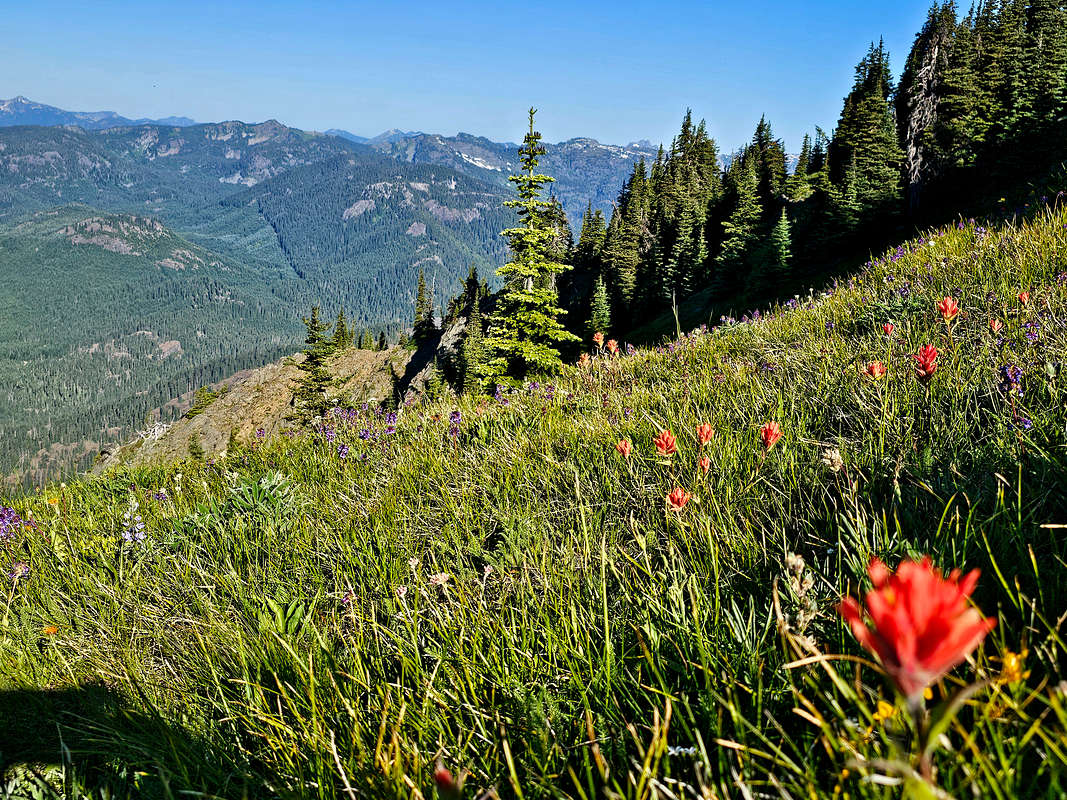 Below the summit of Thorp Mountain : Photos, Diagrams & Topos : SummitPost