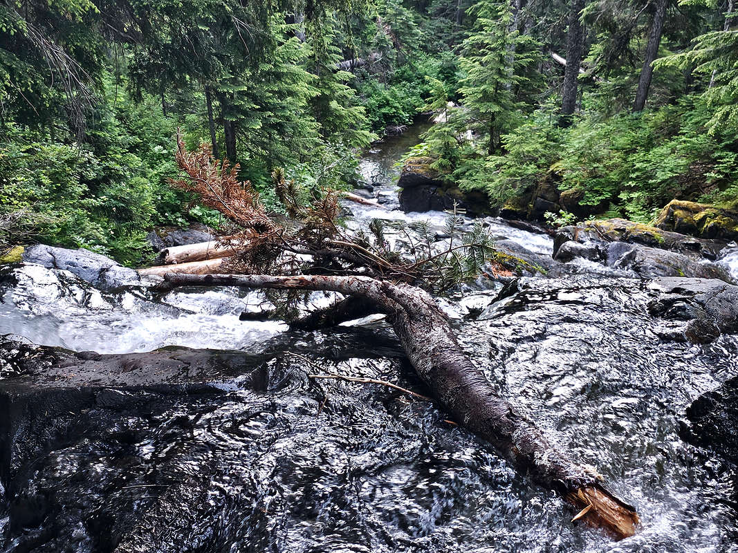 On Rachel Lake Trail : Photos, Diagrams & Topos : SummitPost