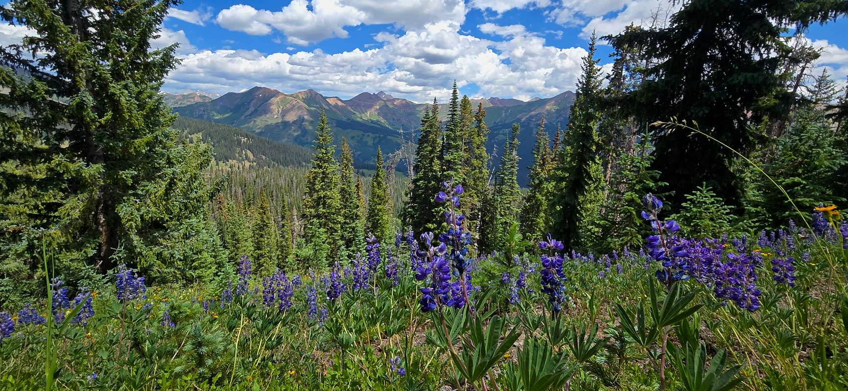 First views of Elk Range : Photos, Diagrams & Topos : SummitPost