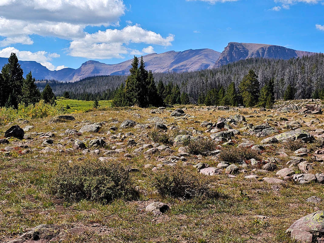 Mount Powell : Photos, Diagrams & Topos : SummitPost