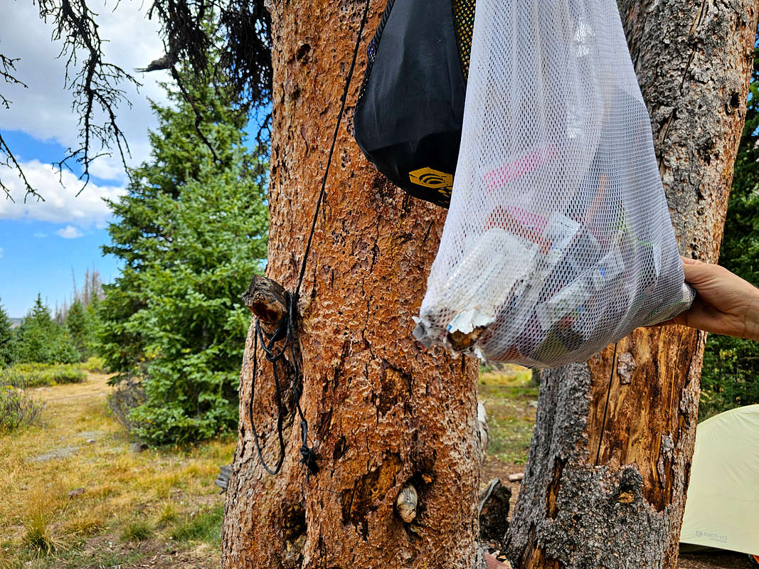 Chipmunks stealing our food : Photos, Diagrams & Topos : SummitPost