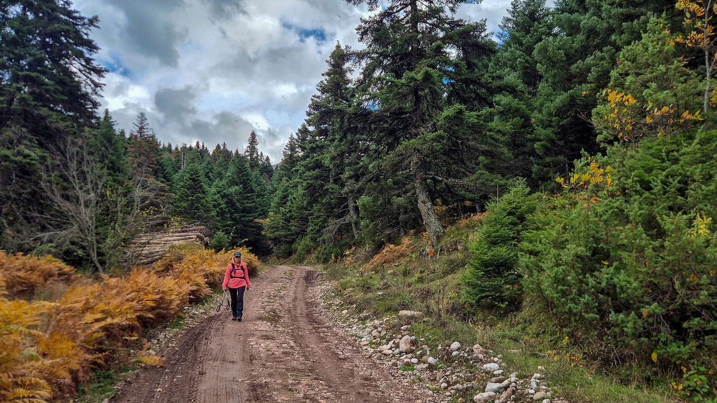 On the old E4 trail descending Koziakas (1,901m) : Photos, Diagrams ...