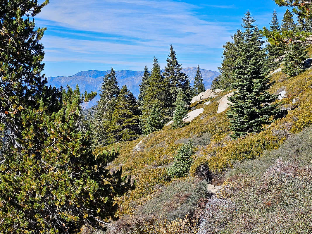 Mount San Gorgonio : Photos, Diagrams & Topos : SummitPost