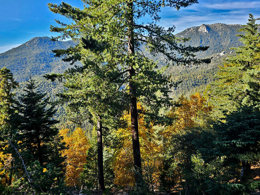 Black Mountain and Fuller Ridge : Photos, Diagrams & Topos : SummitPost