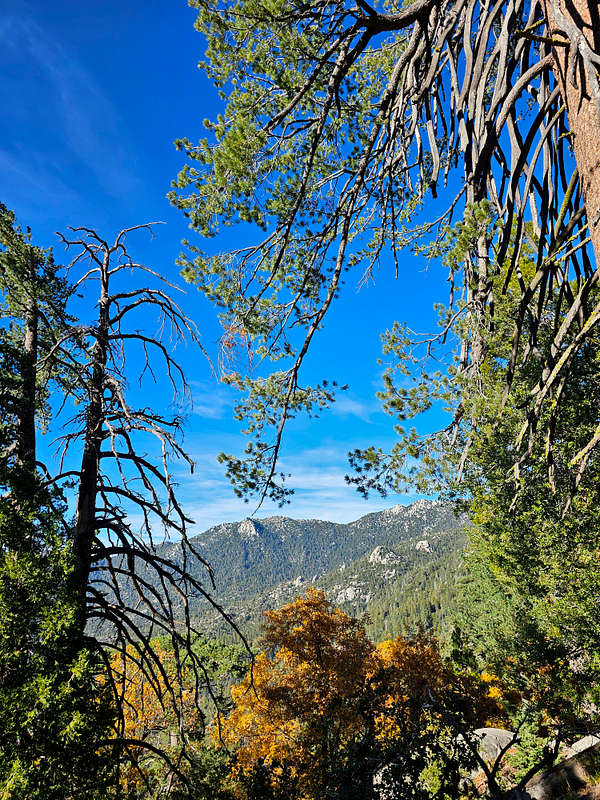 Fuller Ridge and Folly Peak : Photos, Diagrams & Topos : SummitPost